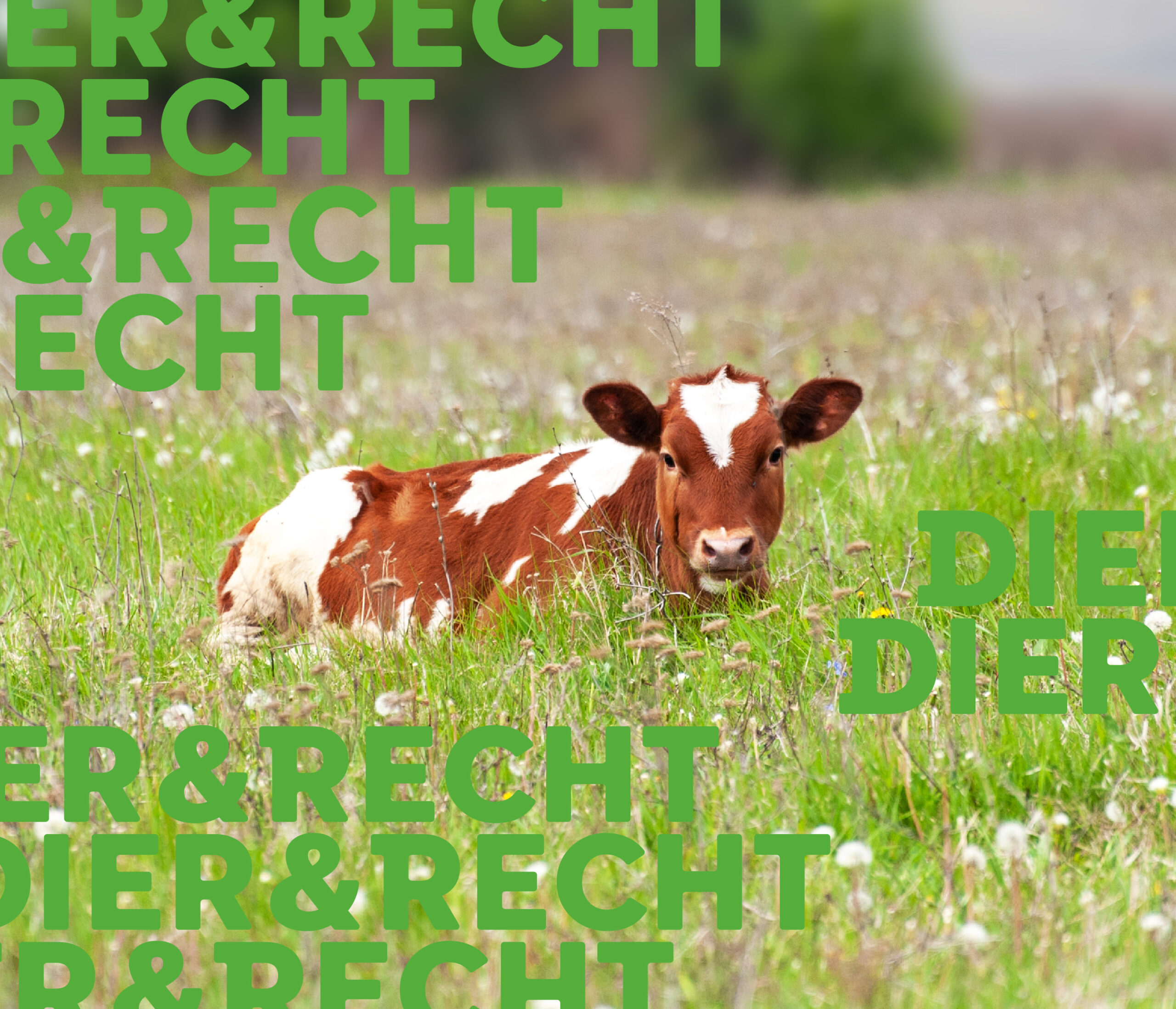 Blij van Zuivelvrij - Dier&Recht