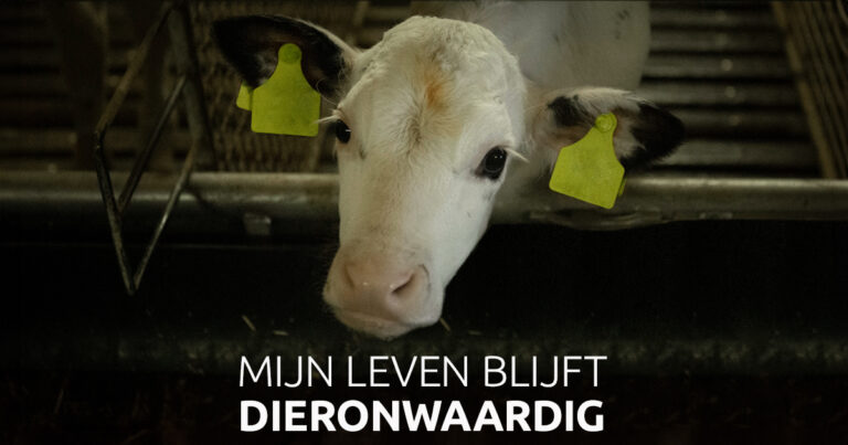 Tweede Kamer schrapt nieuwe dierenwelzijnsregels uit de wet - Dier&Recht