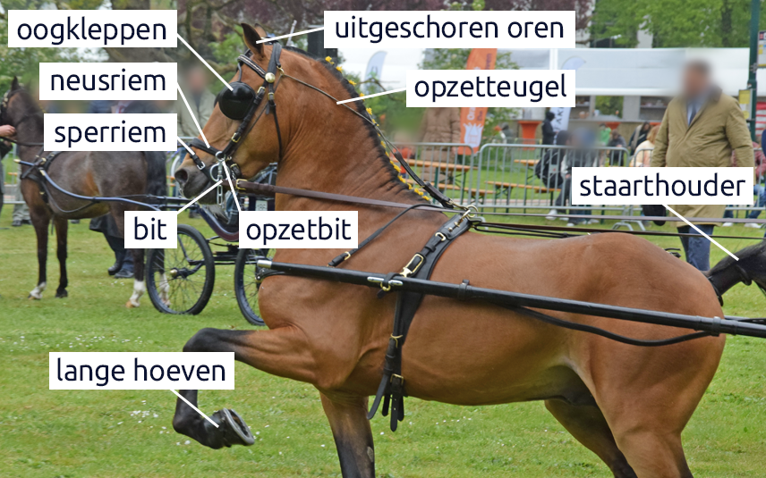 Omstreden dwangmiddelen nog steeds favoriet bij aangespannen rijden ...