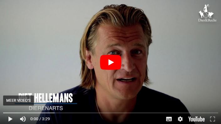 Piet Hellemans heeft een hekel aan hondenshows - Dier&Recht